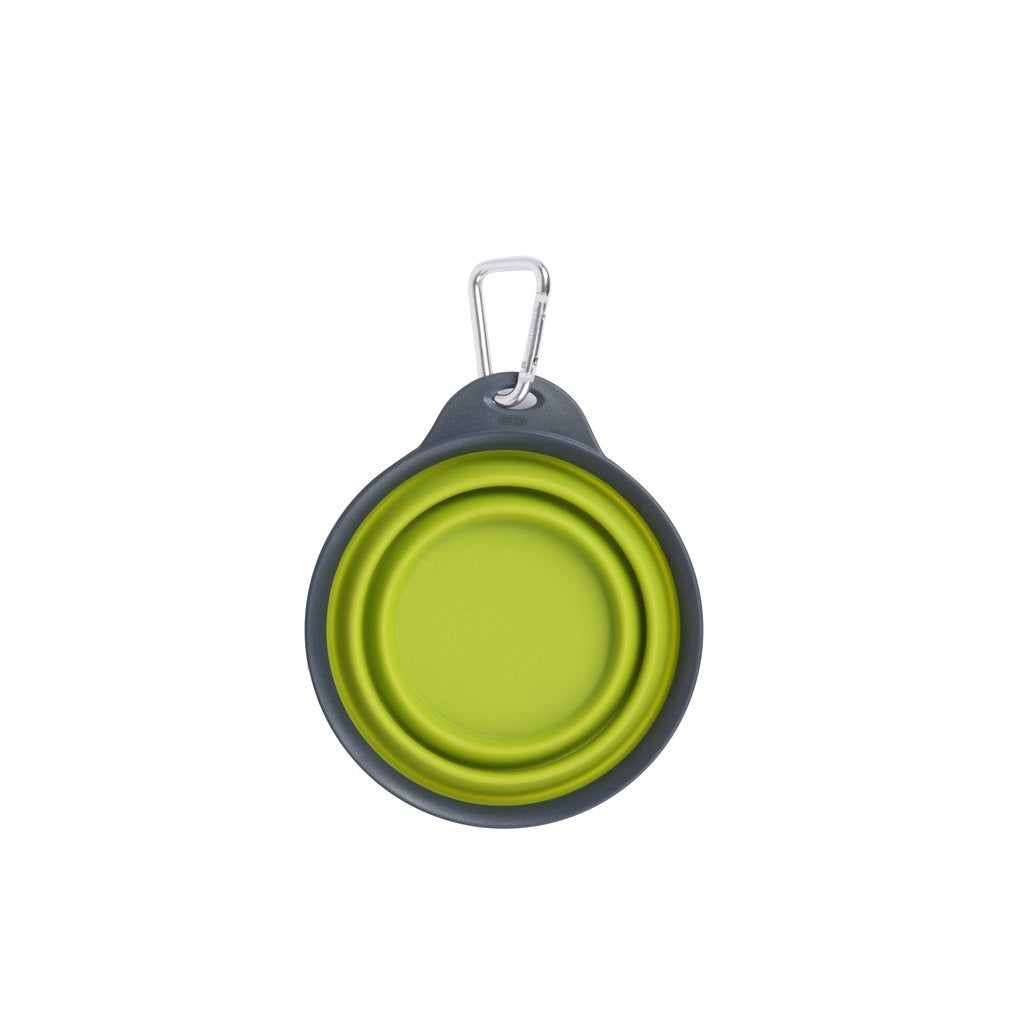 Dexas Collapsible Travel Cup-Large - Savoy, IL - Prairieland Feeds